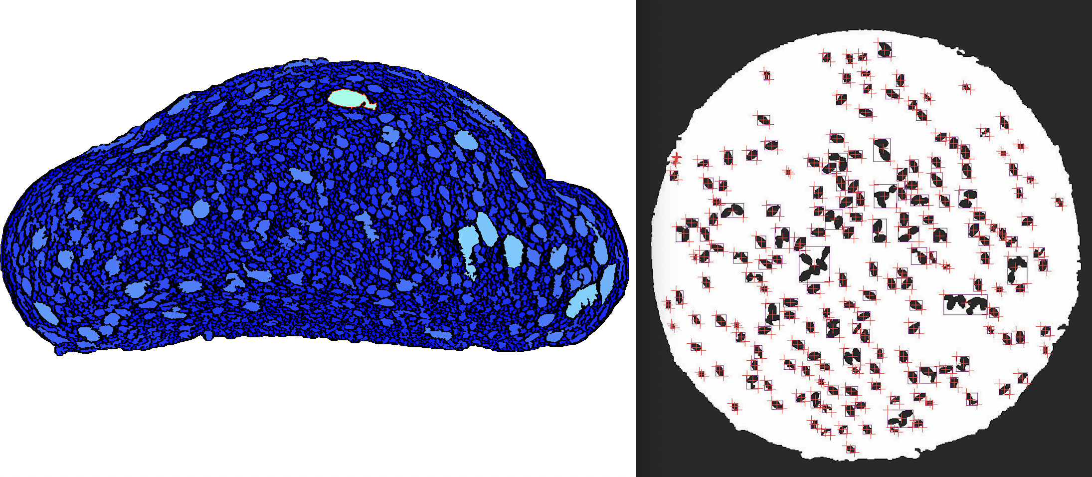 Crumb Analysis | Baking Processes | BAKERpedia