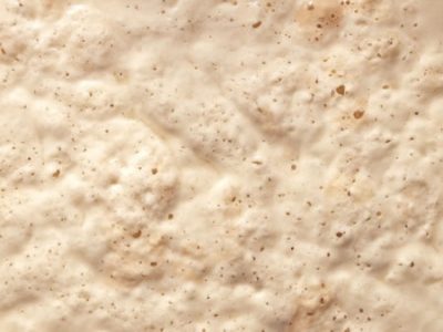 Comparison of Dough Systems – BAKERpedia