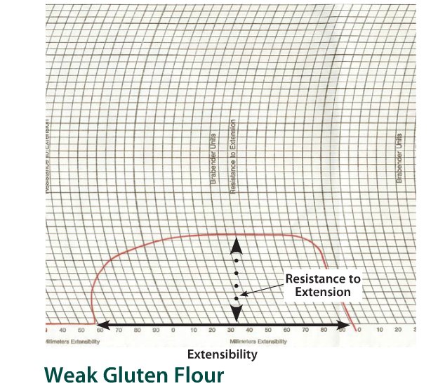 Extensograph | Baking Process | BAKERpedia